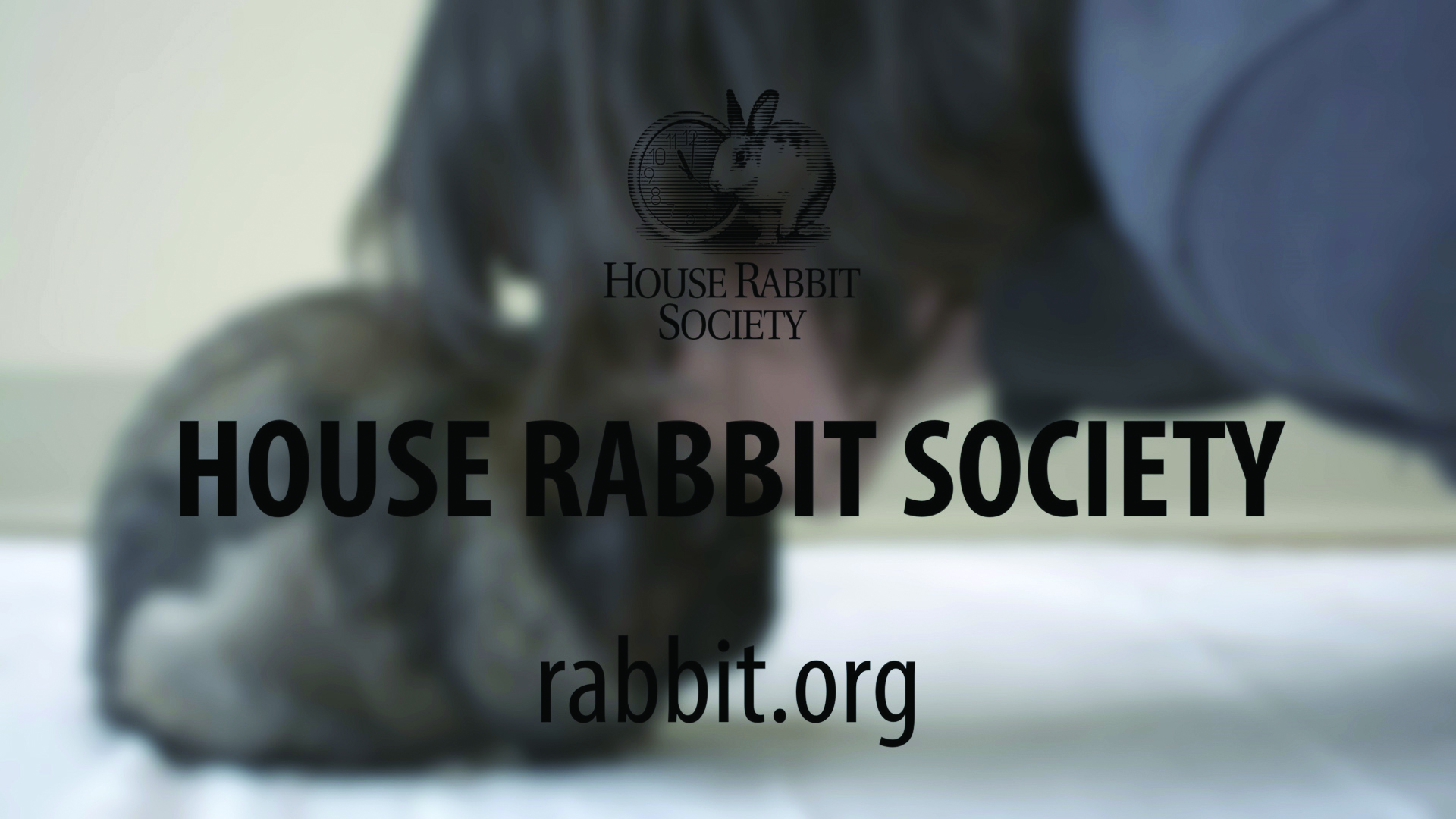 House Rabbit Society | TV Access PSA Spot Source